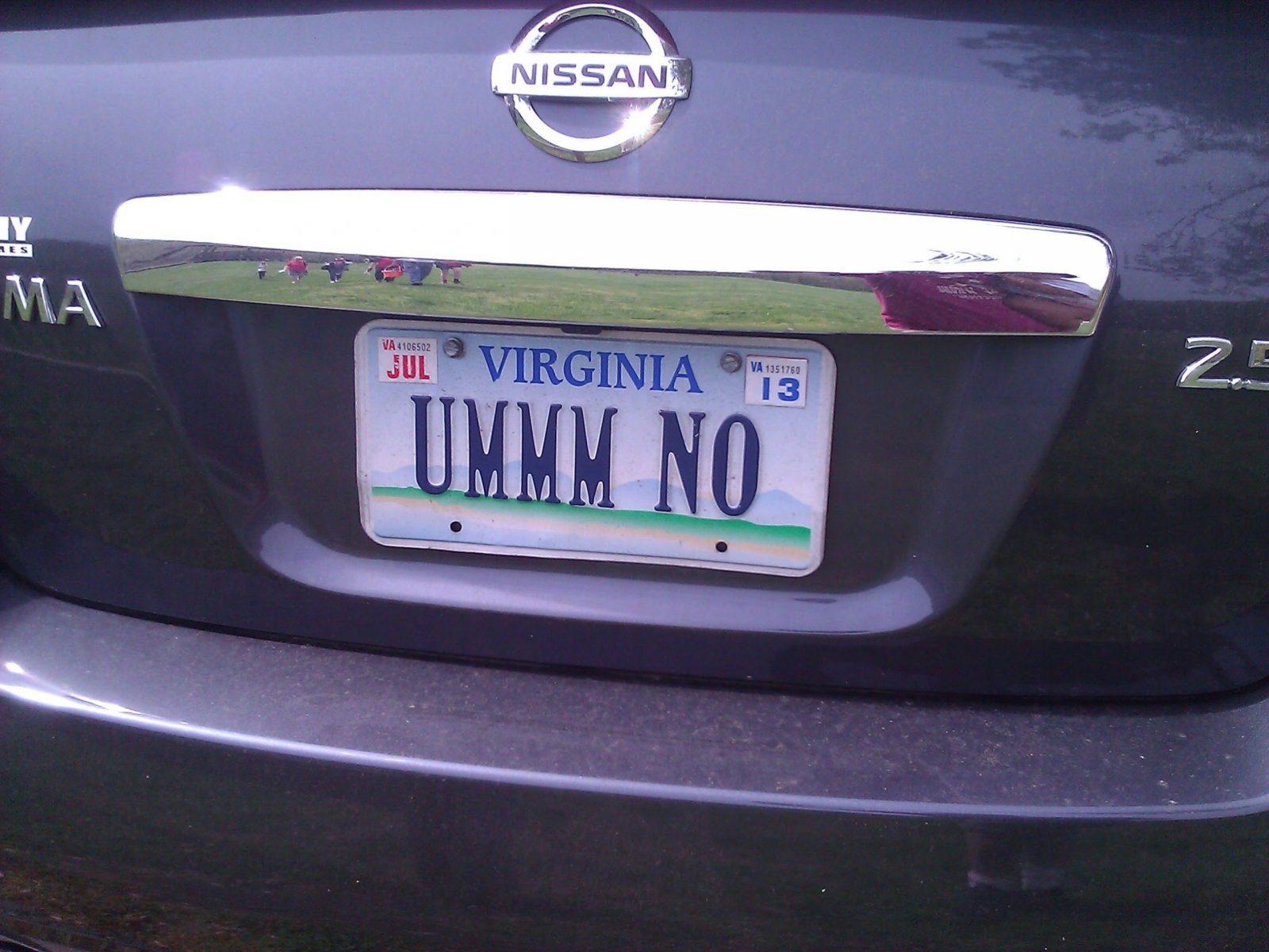 License Plates (Collection Plates) – The Todd Squad